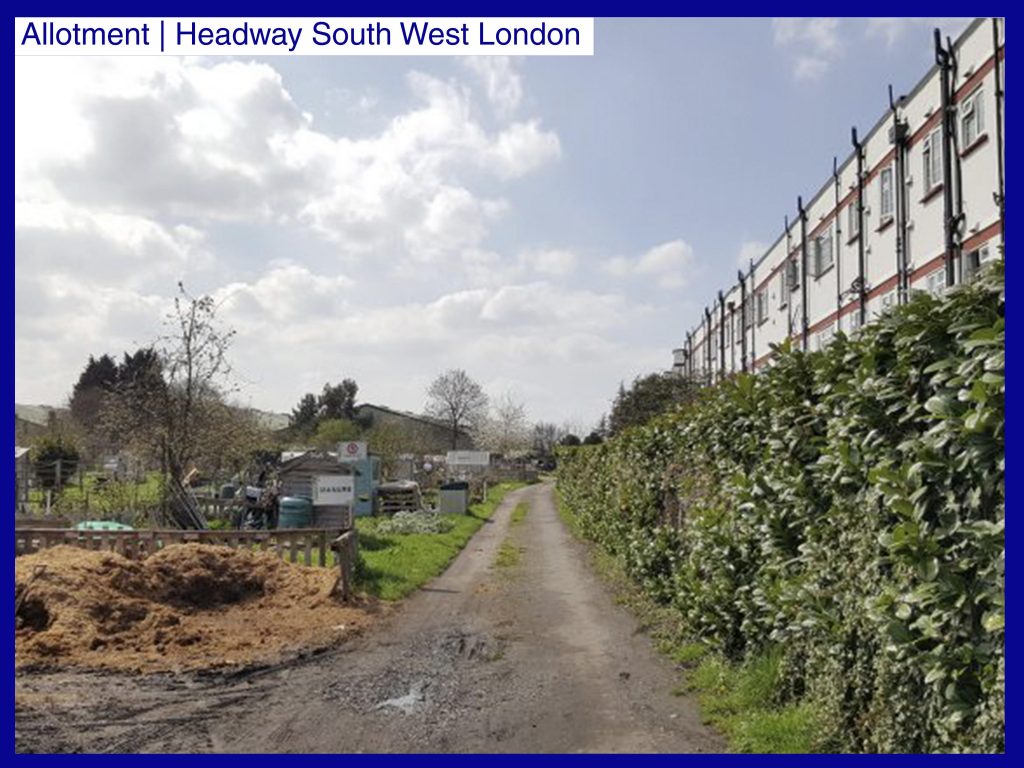 Allotment – Headway South West London